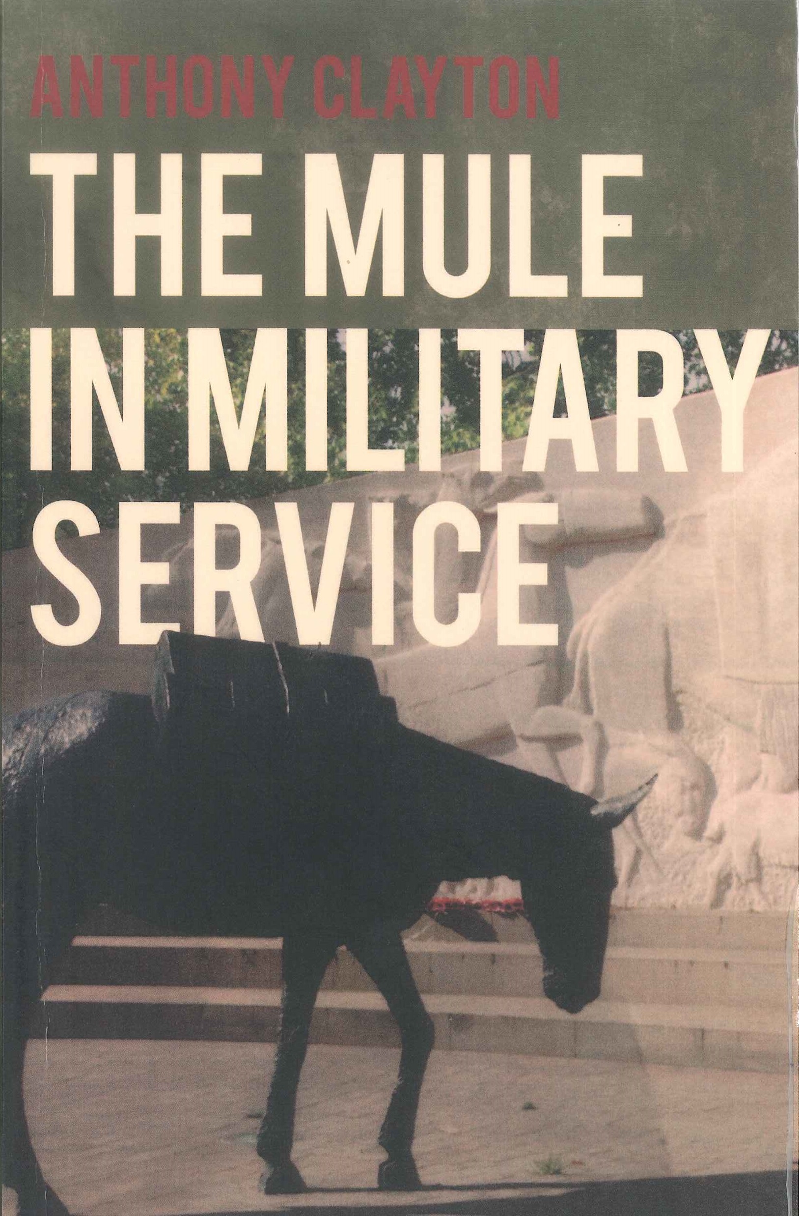 Mule Lines : British military mules in the spotlight – Salonika ...